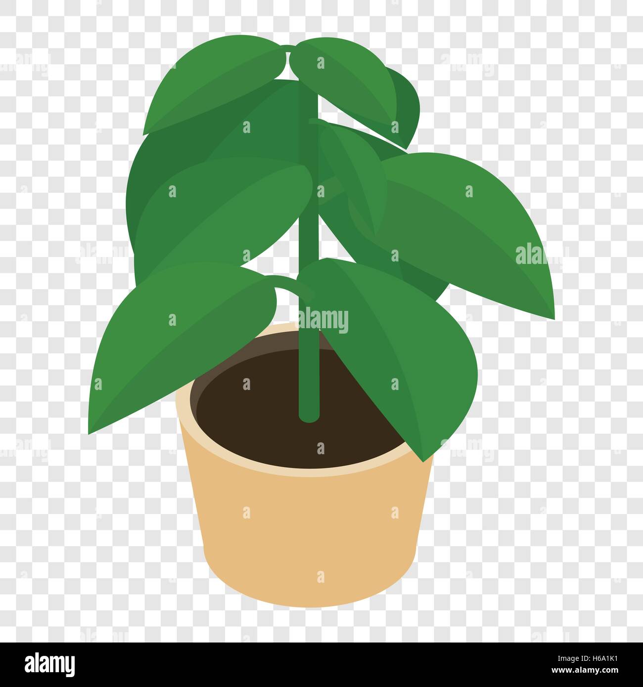 Isometric flower in a pot Stock Vector Image & Art - Alamy