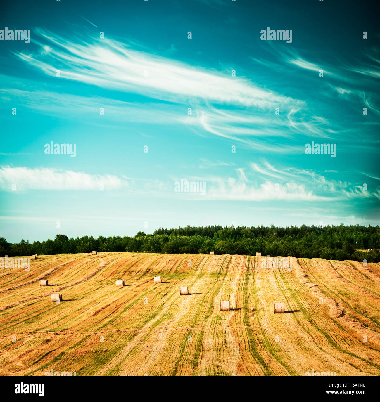 Beautiful Summer Field Scenery with Haystack Stock Photo - Alamy