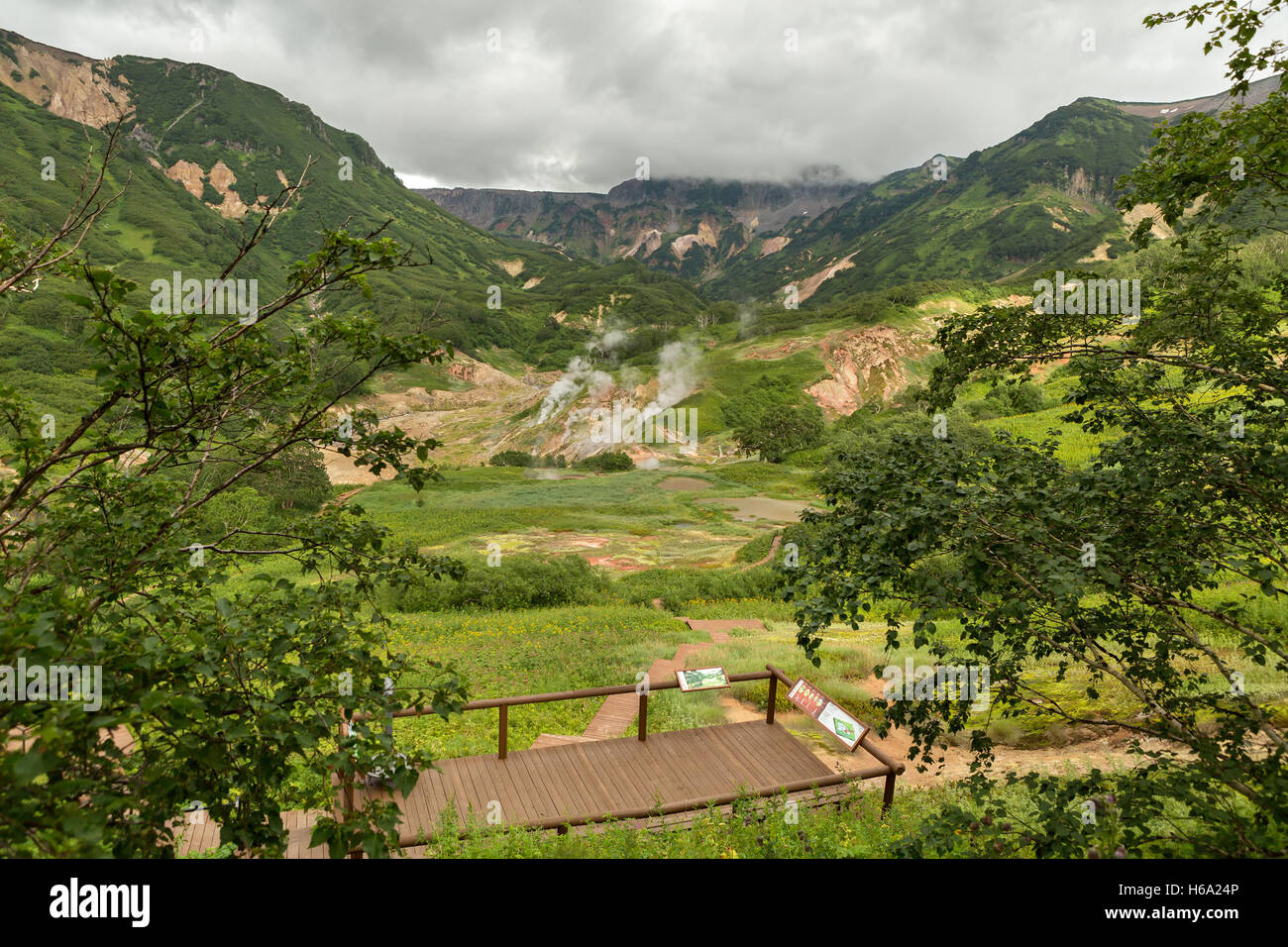 Famous Valley of Geysers Stock Photo - Alamy