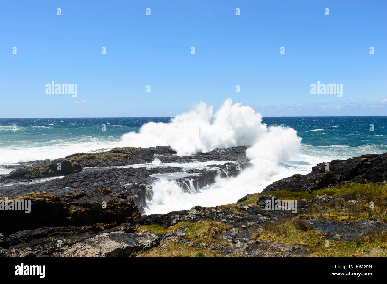 Big Swell seen from the Coast Path at Kiama, Illawarra Coast, New South ...