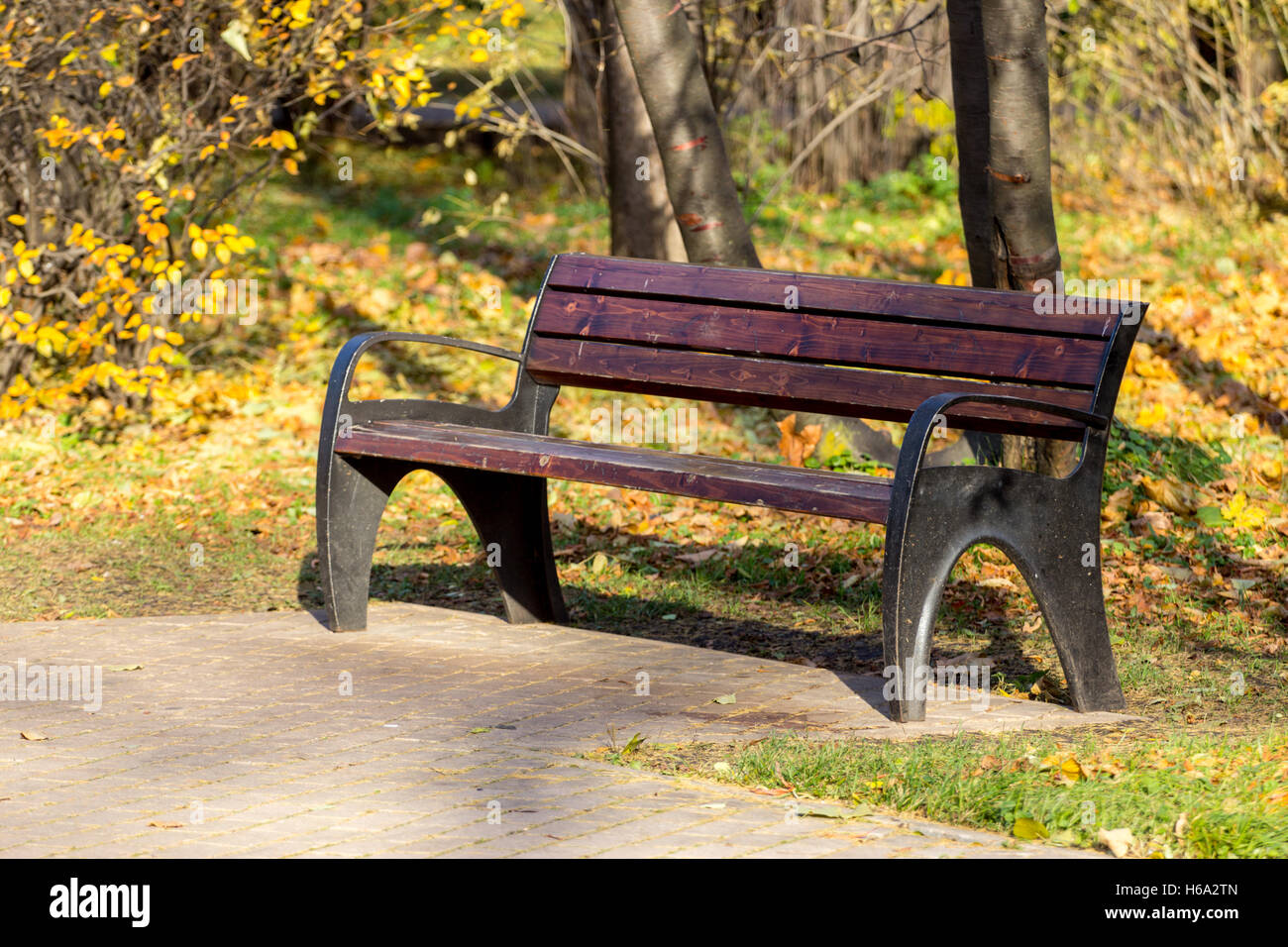 Autumn sunny day scenic - bench in the park Stock Photo - Alamy