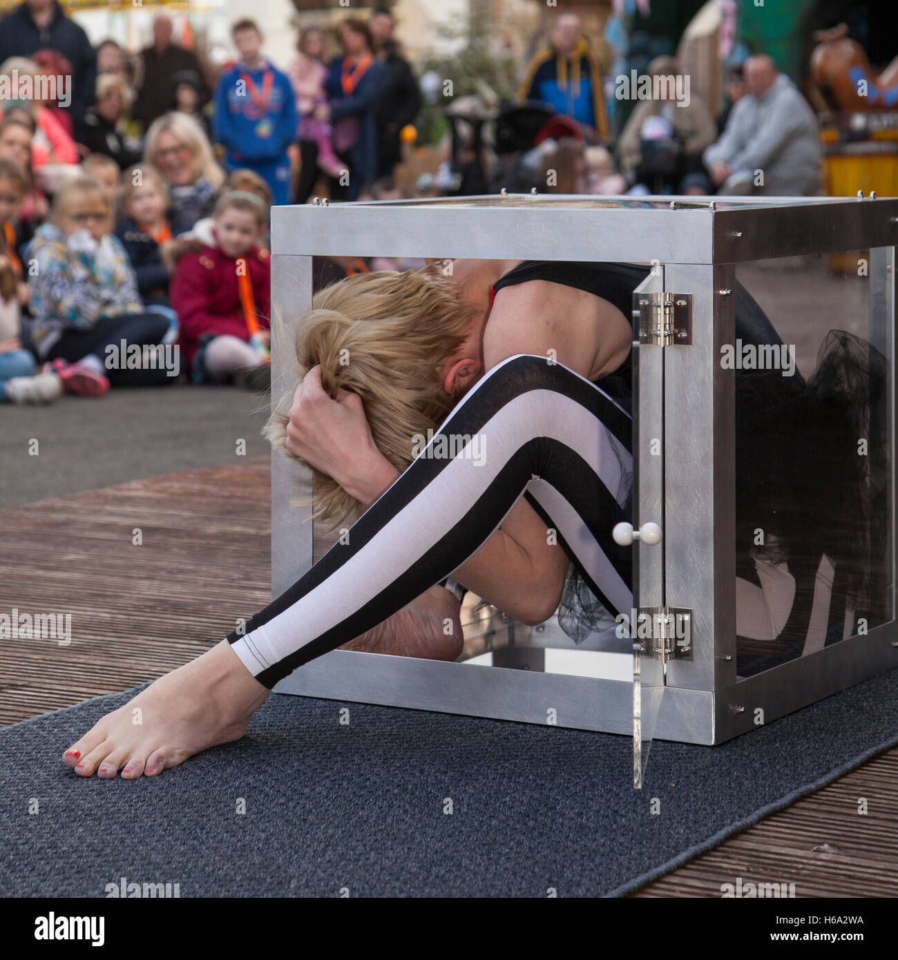 Female Contortion in a glass Cube at Southport. Contortionist woman ...
