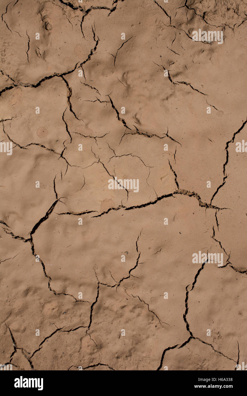 Brown color dry cracked muddy earth as a background texture Stock Photo ...