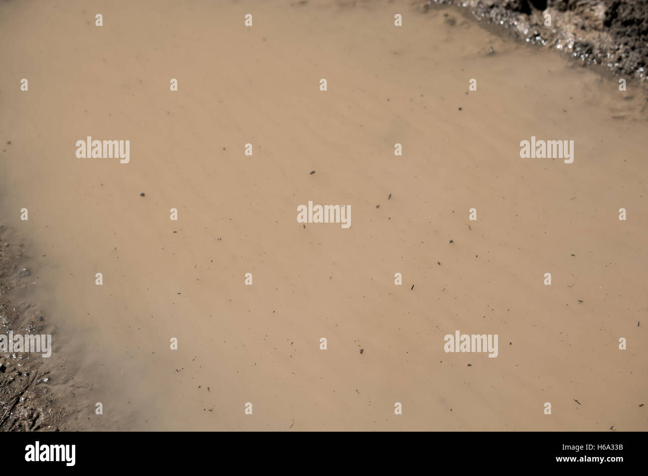 Background of dirty muddy water texture in the pond Stock Photo - Alamy