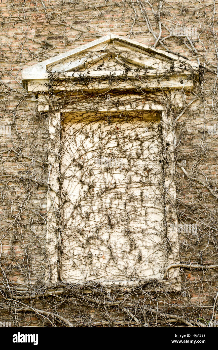 Old window Architecture from Tbilisi Stock Photo - Alamy