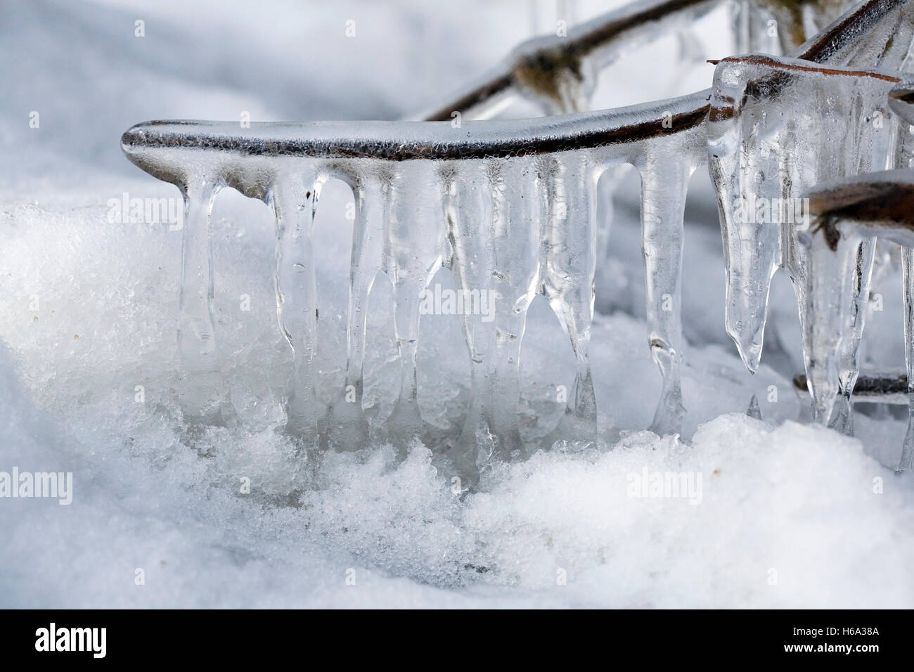 Frosty freeze freezing frozen finland hi-res stock photography and ...
