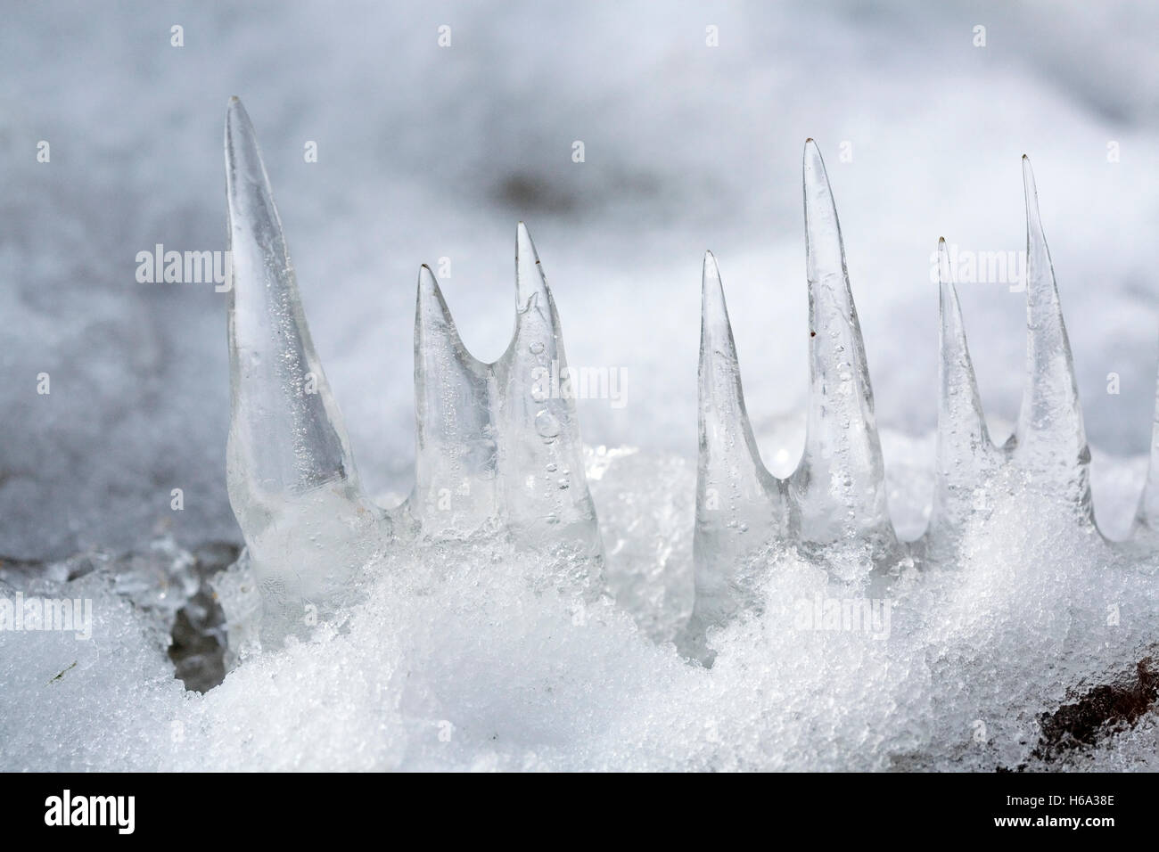 Frosty freeze freezing frozen finland hi-res stock photography and ...