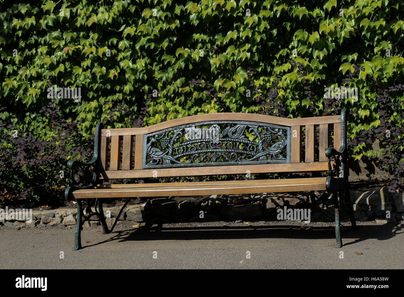Wooden park bench at a park Stock Photo - Alamy
