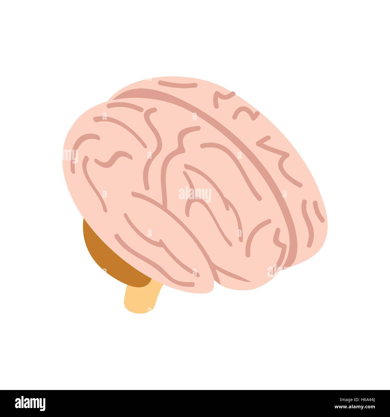 Human brain isometric 3d icon Stock Vector Image & Art - Alamy