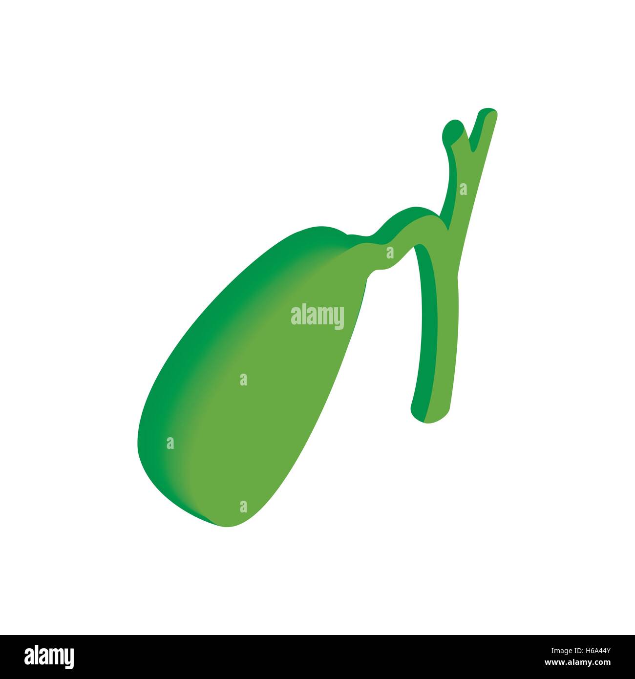 Gallbladder isometric 3d icon Stock Vector Image & Art - Alamy