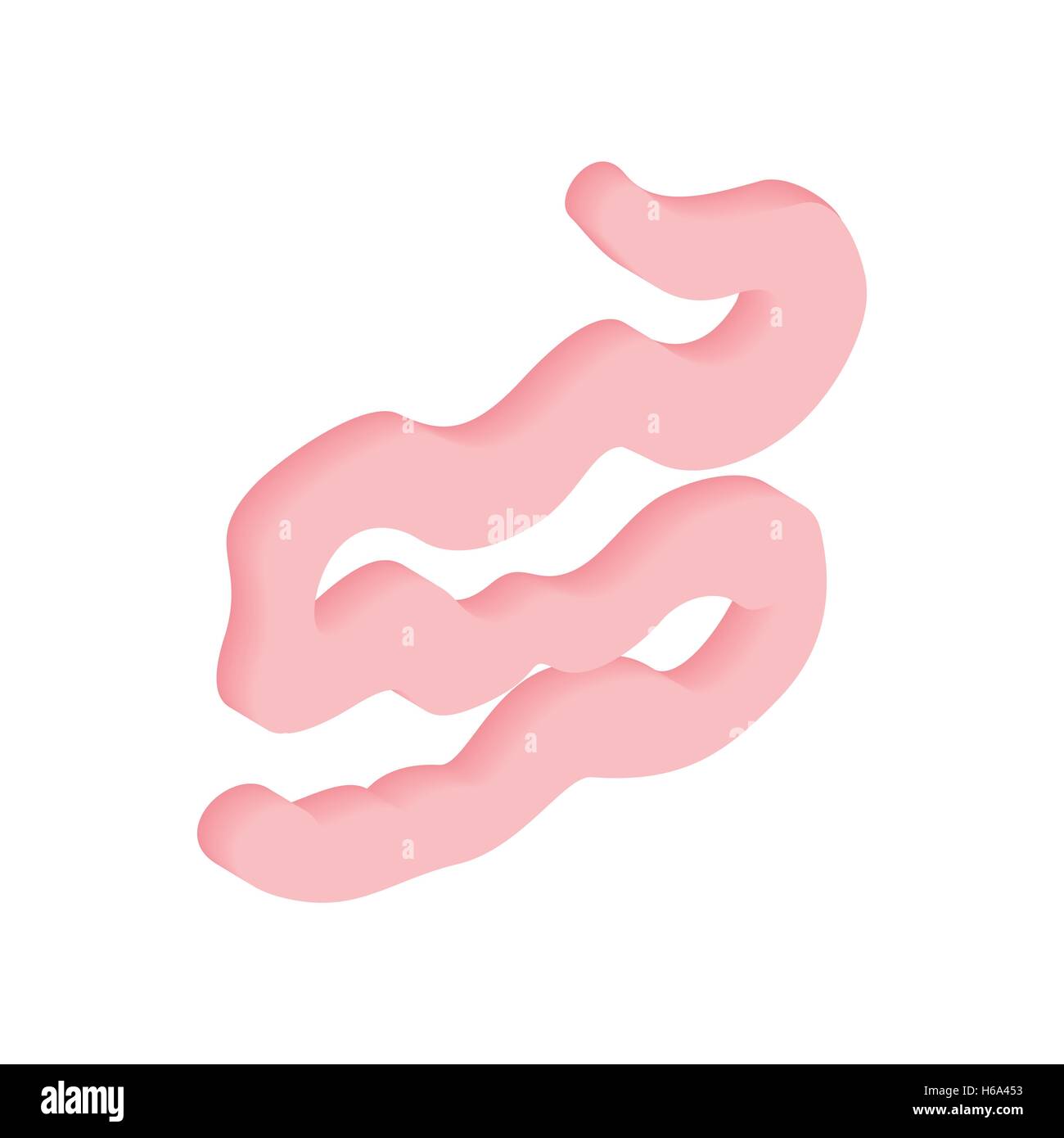Small intestine illustration logo Cut Out Stock Images & Pictures - Alamy