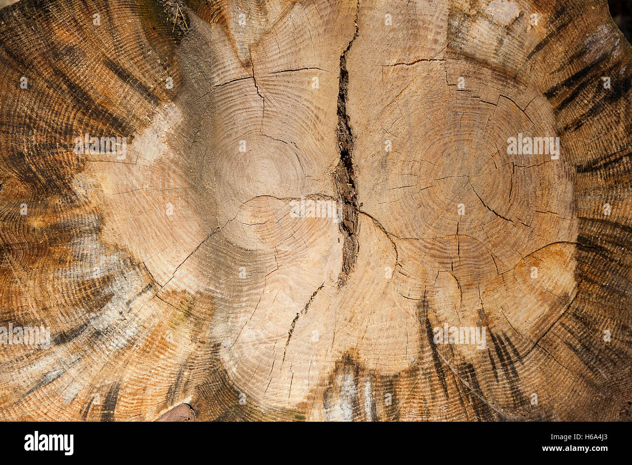 Abstract wooden texture. Vintage rustic style. Natural surface, vintage ...