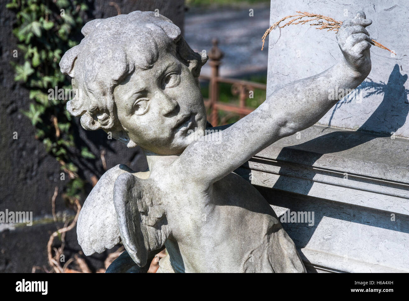 Cemetery - Angel Stock Photo - Alamy