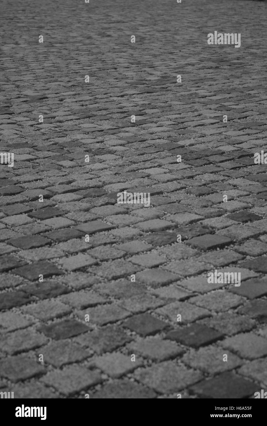 Garden by the way Black and White Stock Photos & Images - Alamy