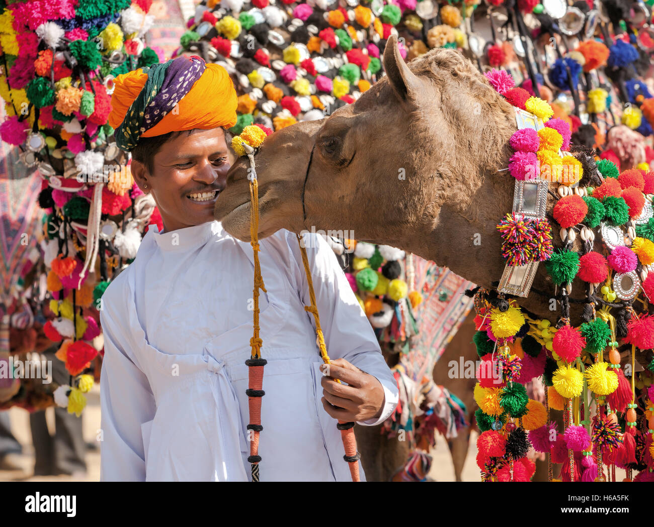 Camel and his unidentified owner attends at traditional camel ...