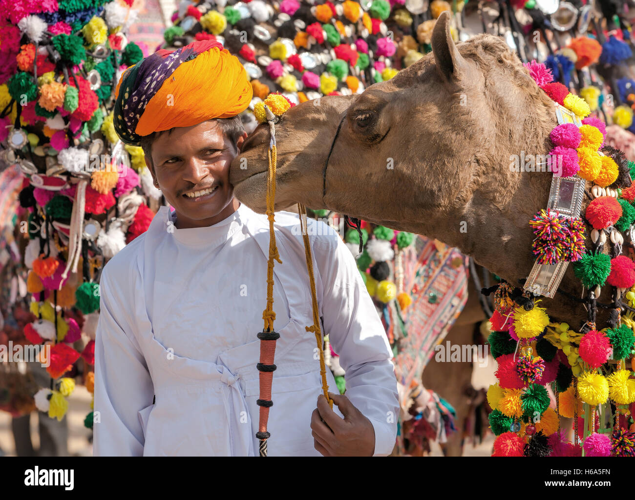 Camel and his unidentified owner attends at traditional camel ...