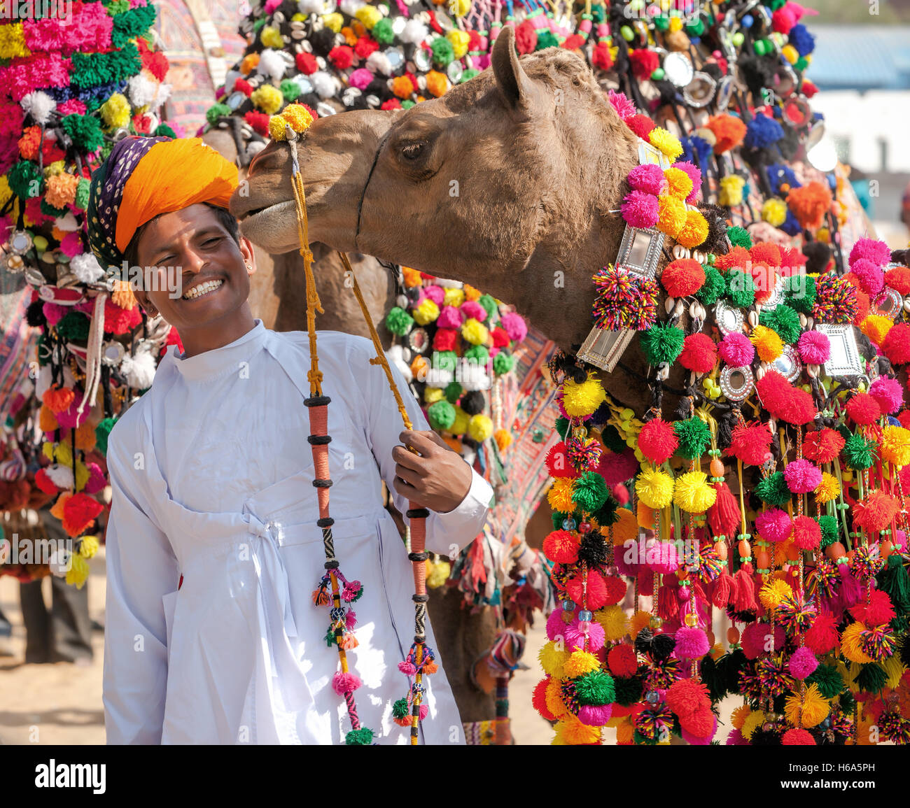 Camel and his unidentified owner attends at traditional camel ...