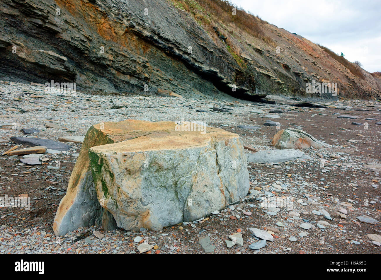 Joggins Fossil Cliffs on the Bay of Fundy in Nova Scotia Canada is ...
