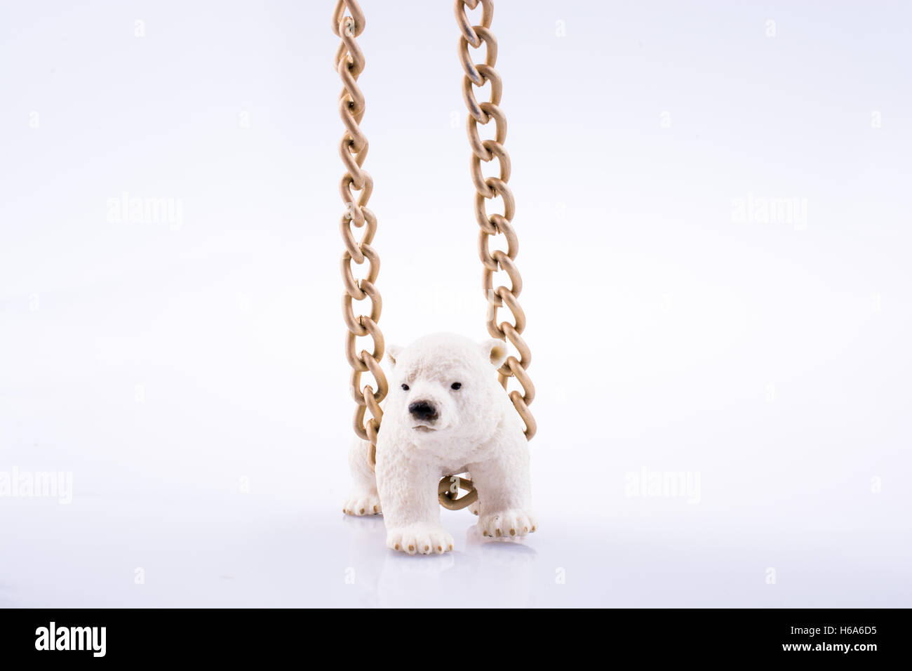 Polar bear cub and chain on a white background Stock Photo - Alamy