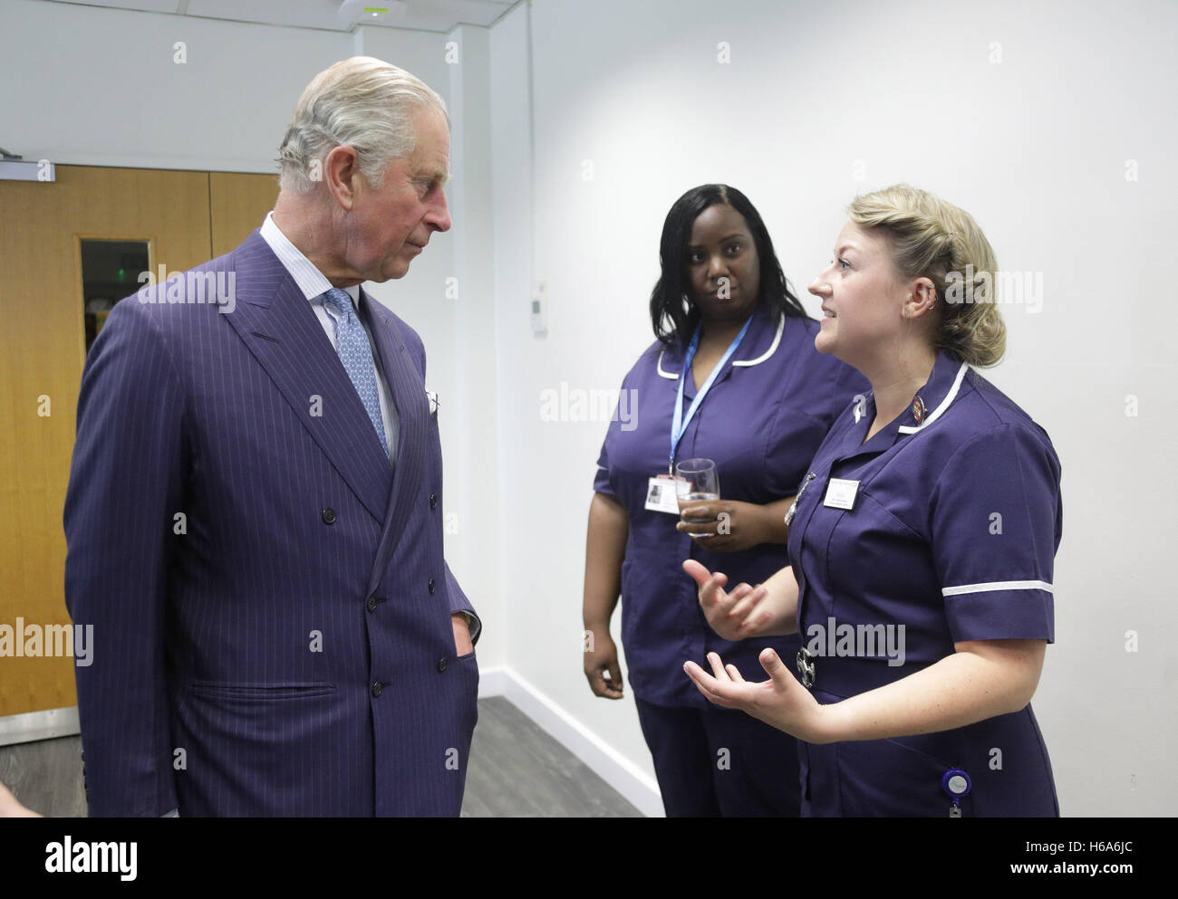 The Prince of Wales meets specialist mental health midwife Dionne Levy ...