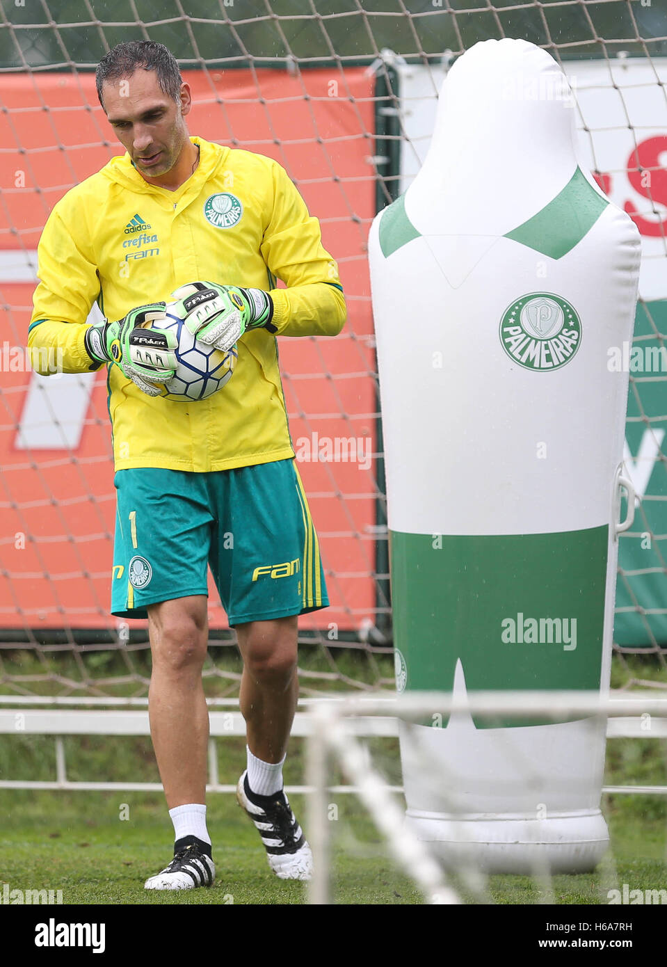 Sao Paulo, Brazil. 25th Oct, 2016. TREINO DO PALMEIRAS - The goalkeeper ...