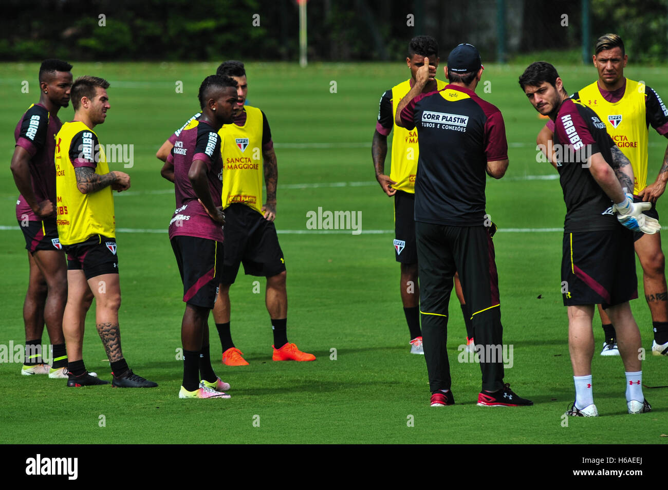 SÃO PAULO, SP - 26.10.2016: TREINO DO SPFC - Ricardo Gomes talks to ...