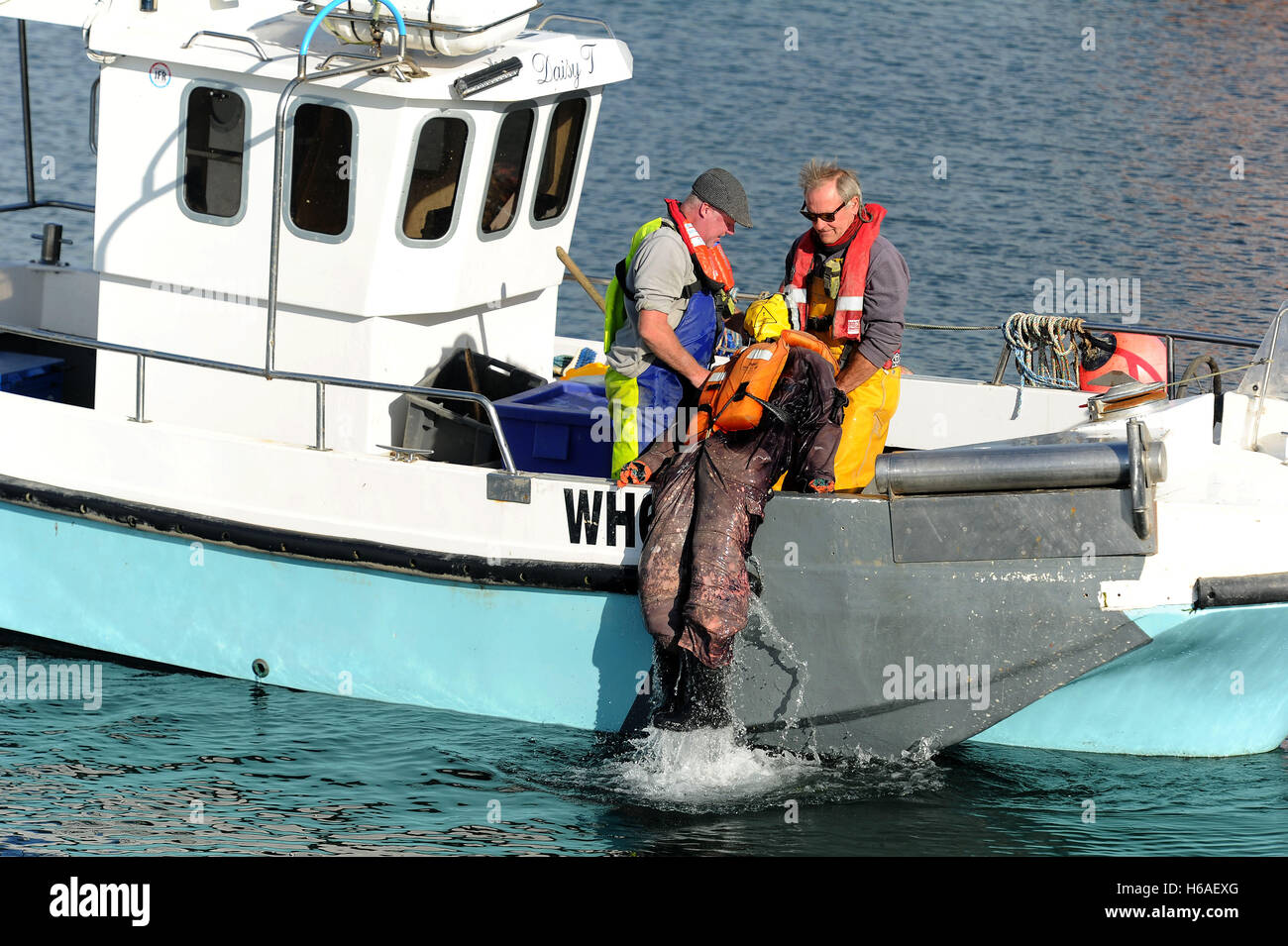 Fishermen practice a man overboard rescue exercise, Weymouth, Dorset ...
