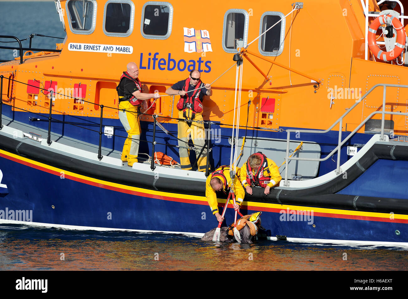 RNLI Lifeboat practice a man overboard rescue exercise, Weymouth ...