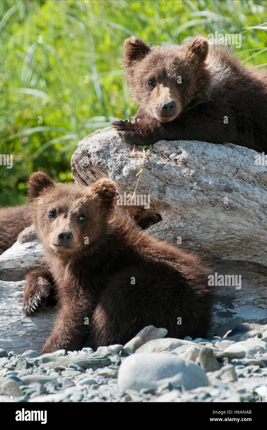 2014 Movies High Resolution Stock Photography and Images - Alamy