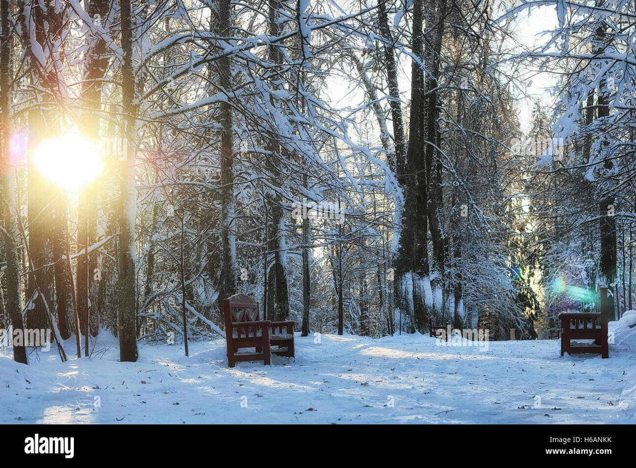wood bench in winter Stock Photo - Alamy