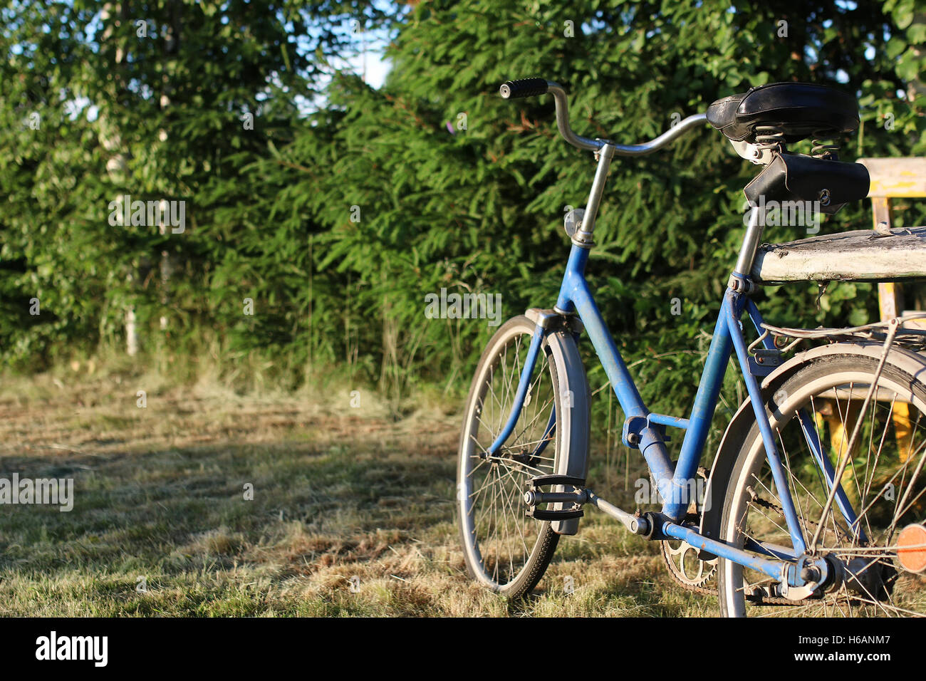 bicycle on a rural nature Stock Photo - Alamy