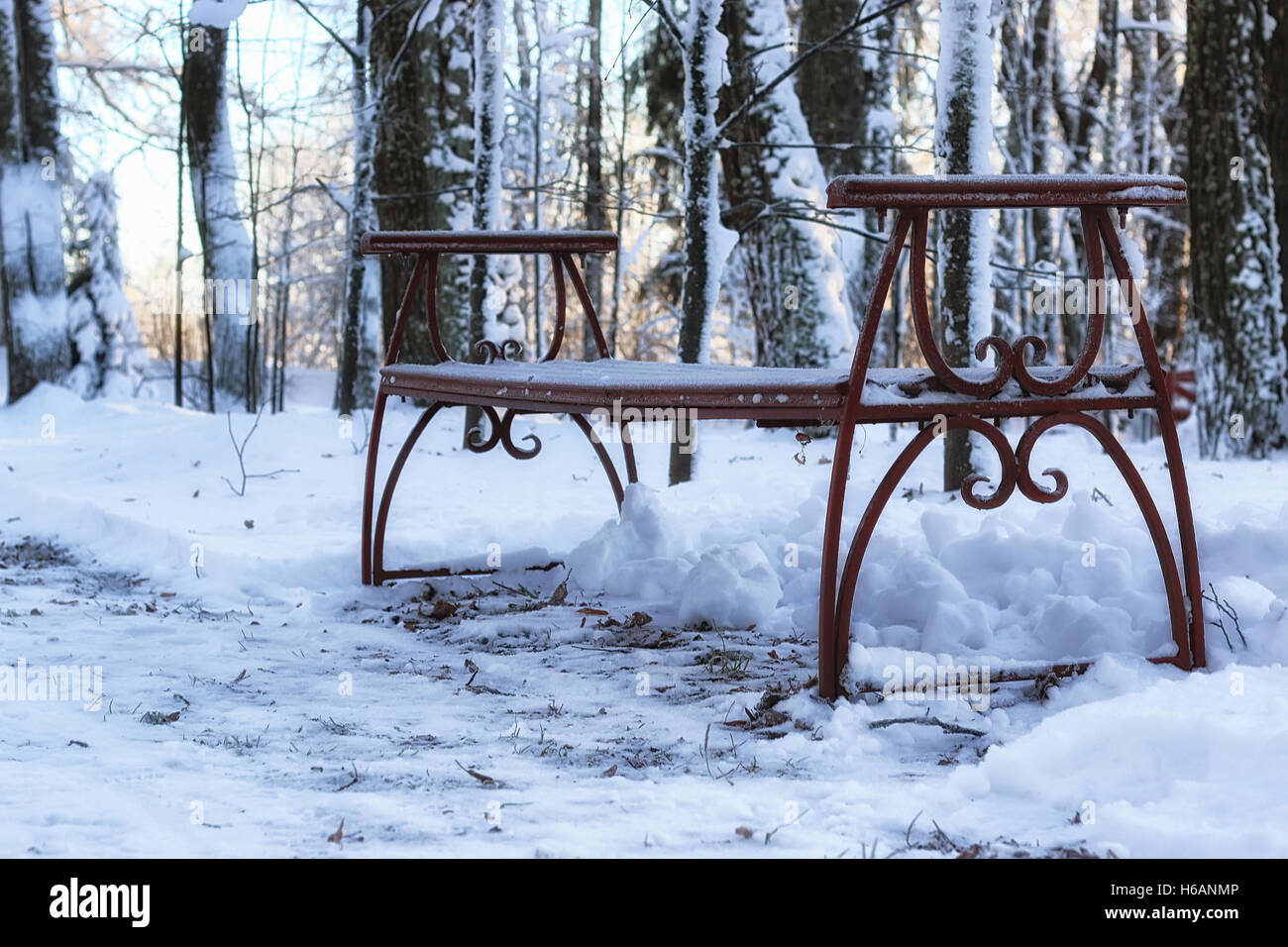wood bench in winter Stock Photo - Alamy