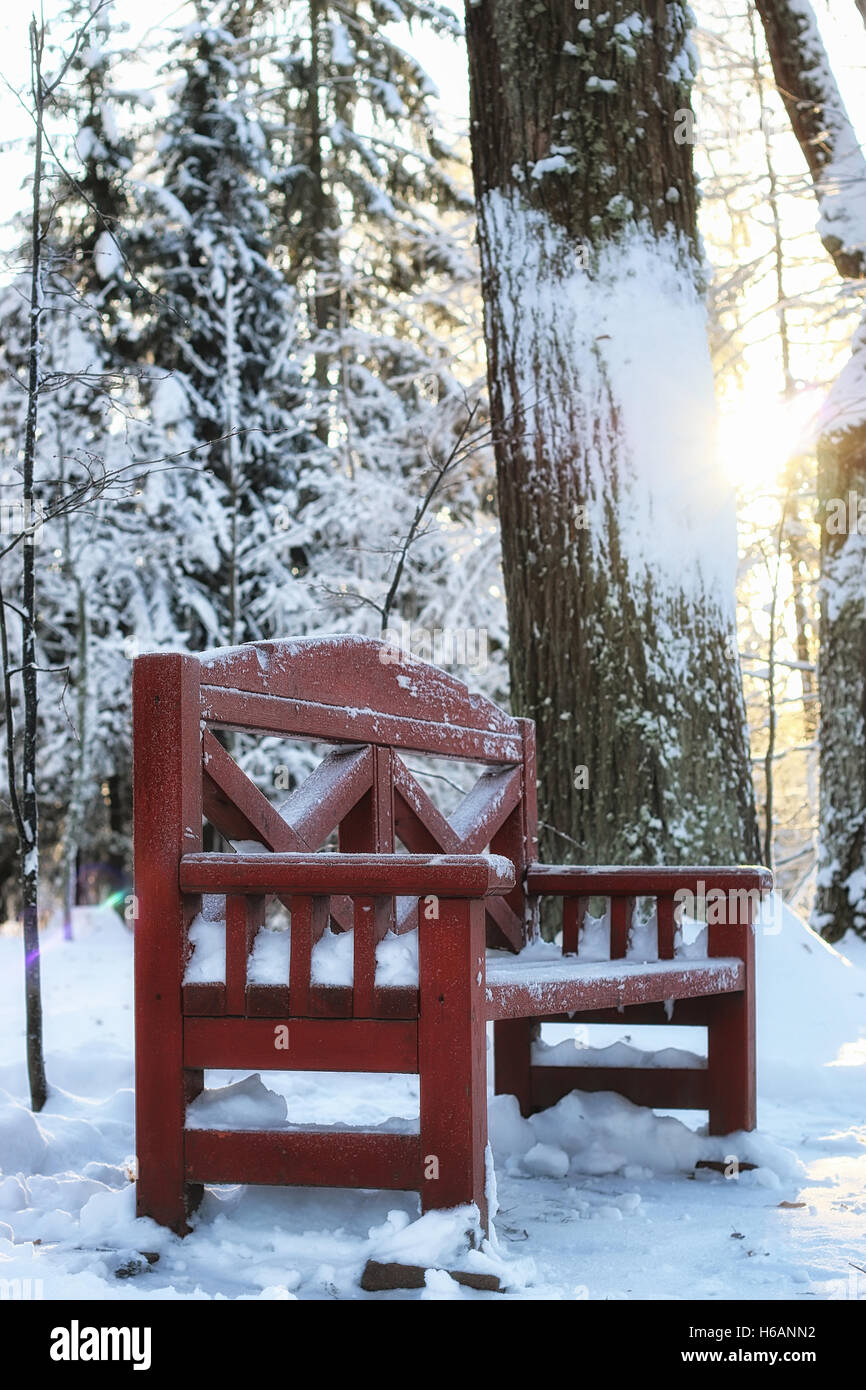 wood bench in winter Stock Photo - Alamy