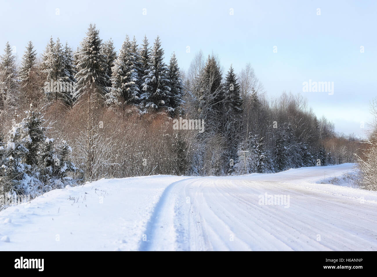 winter road landscape sunlight snow Stock Photo - Alamy