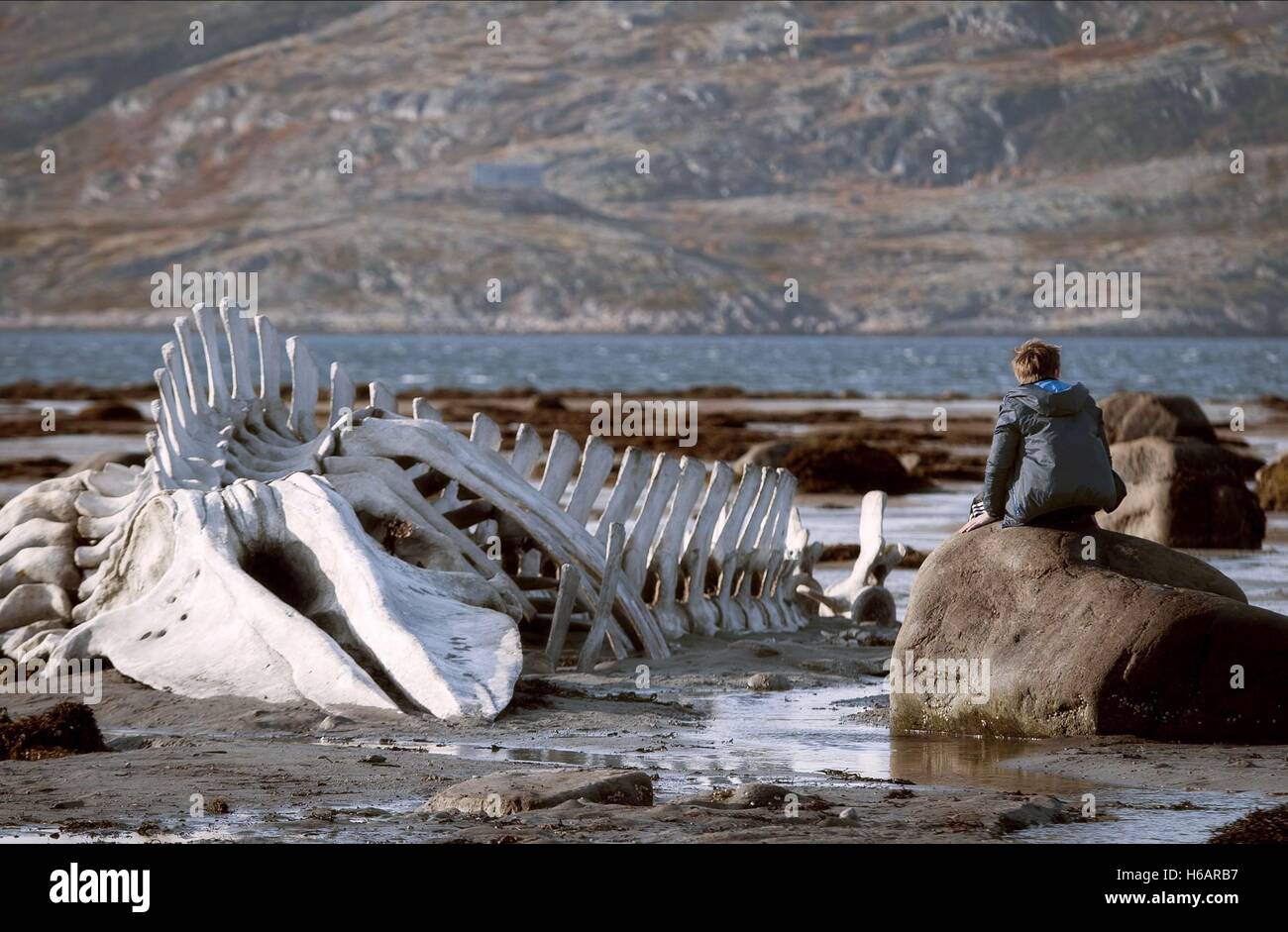 Leviathan High Resolution Stock Photography and Images - Alamy