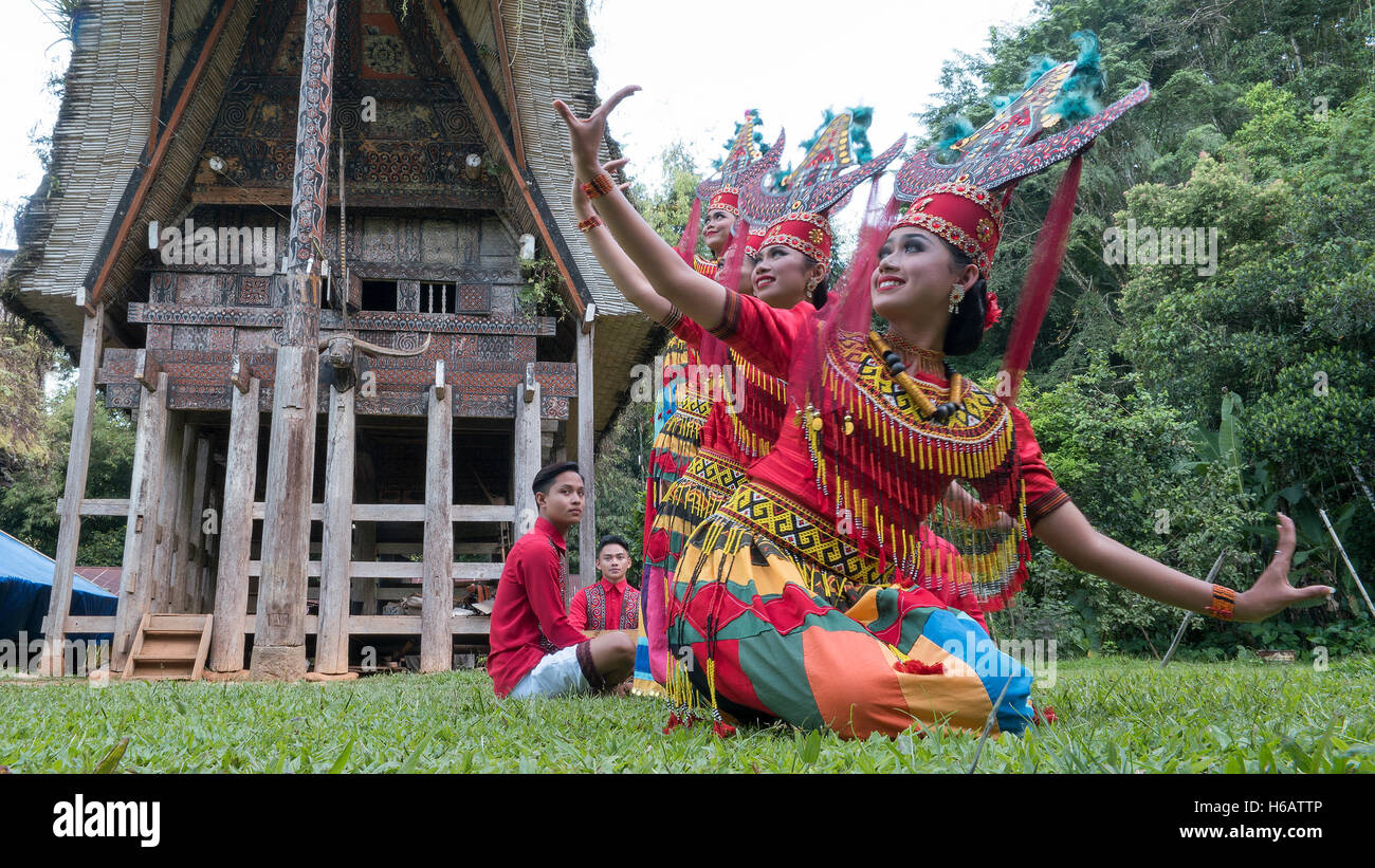 Toraja traditional dancer pose for camera with colourful costume. The ...
