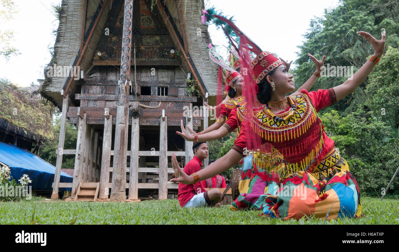 Toraja traditional dancer pose for camera with colourful costume. The ...