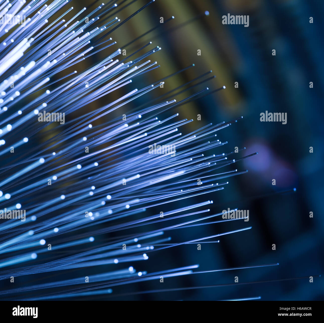 fiber optical network cable Stock Photo - Alamy