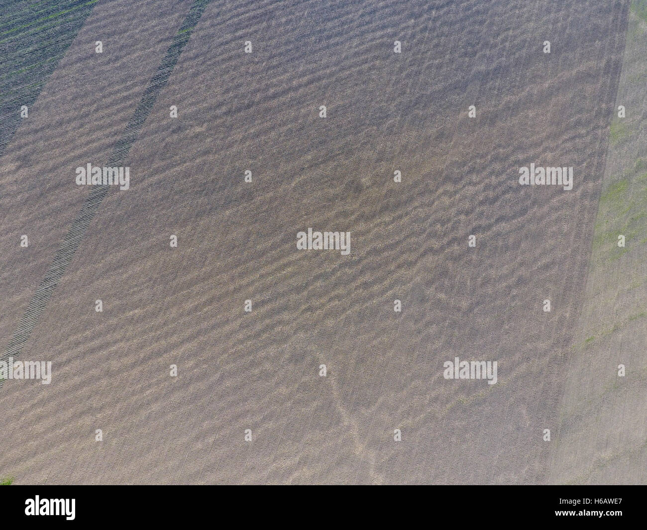 Top view of a plowed field. Background texture of the surface of the ...