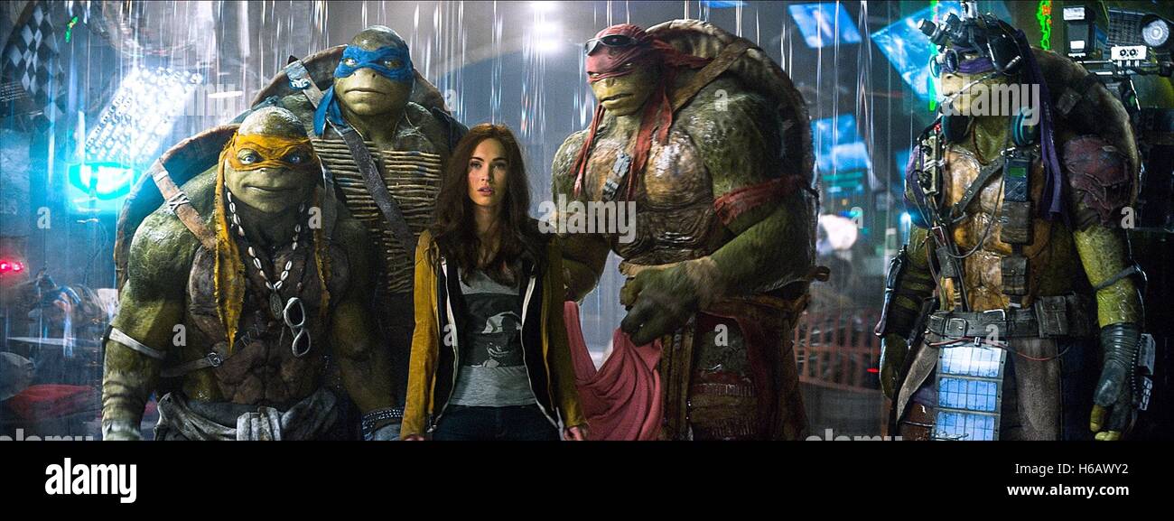 Raphael Michelangelo Donatello Teenage Mutant Ninja Turtles High ...