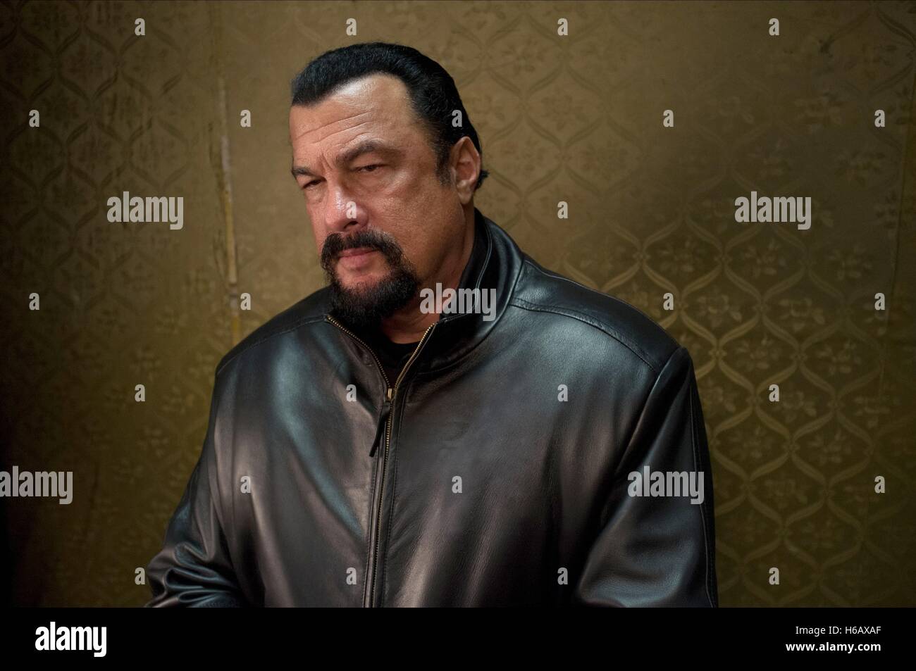 Steven Seagal Actor High Resolution Stock Photography and Images - Alamy