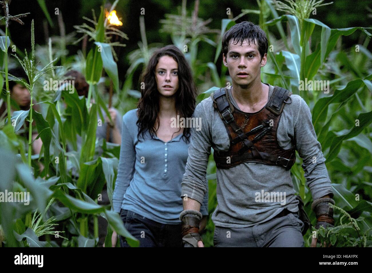 Kaya Scodelario Dylan Obrien High Resolution Stock Photography and ...