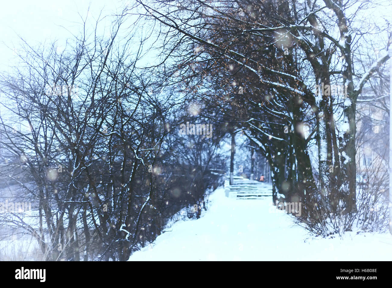 alley pathway park winter Stock Photo - Alamy