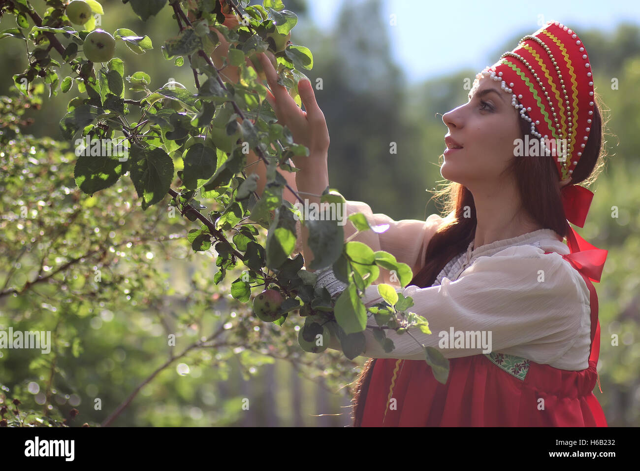 Slav in traditional dress collects the harvest of apples Stock Photo ...