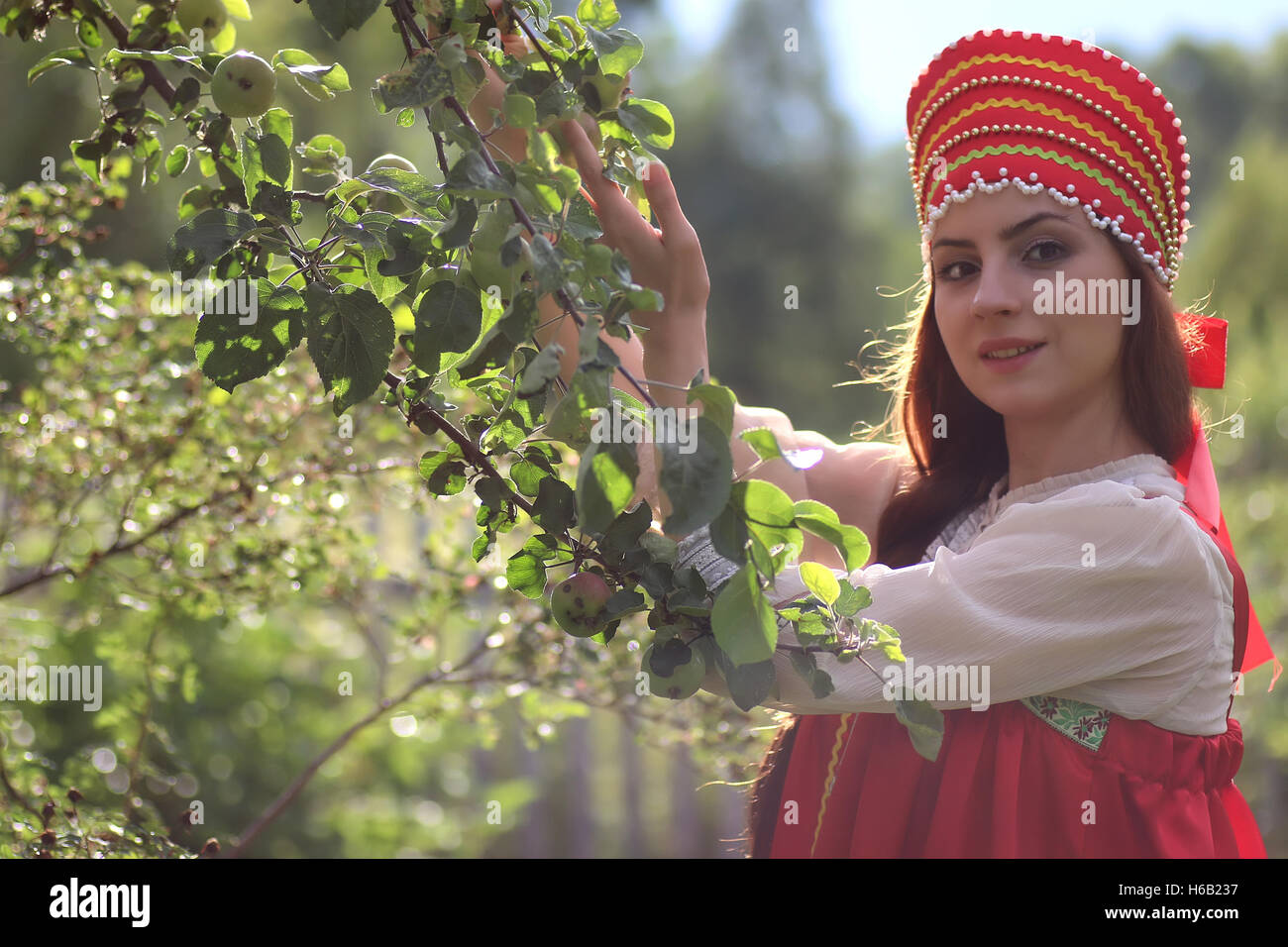 Slav in traditional dress collects the harvest of apples Stock Photo ...