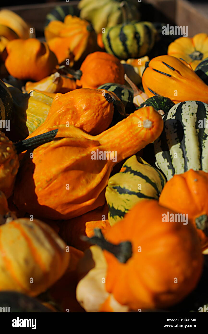 Oland harvest festival hi-res stock photography and images - Alamy