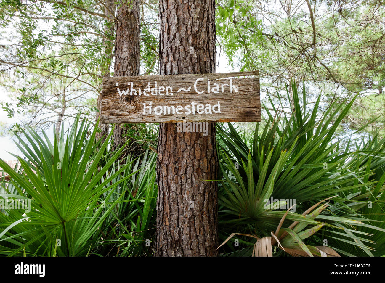 Florida agricultural museum hi-res stock photography and images - Alamy