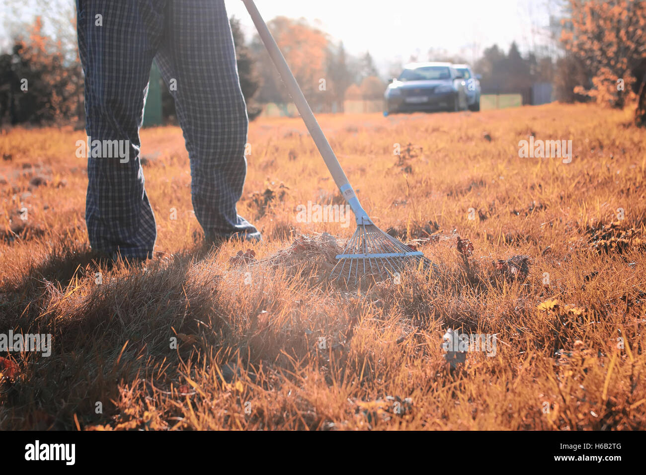 man with rakes in autumn old grass Stock Photo - Alamy