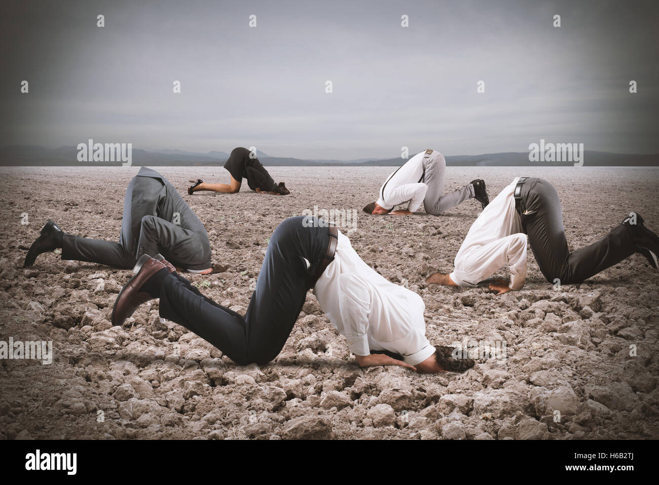 Fear of crisis with businesspeople like an ostrich Stock Photo - Alamy