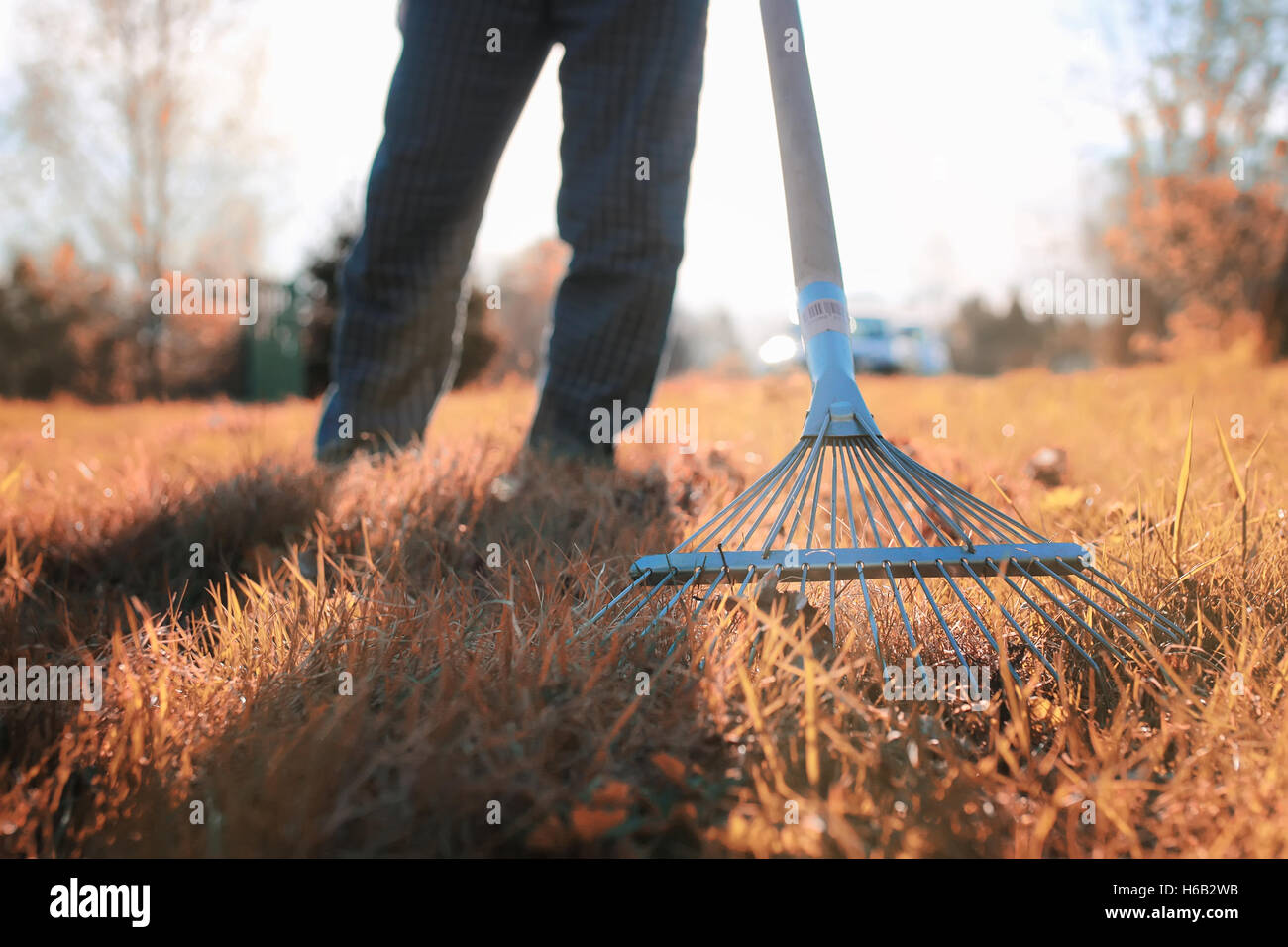 man with rakes in autumn old grass Stock Photo - Alamy